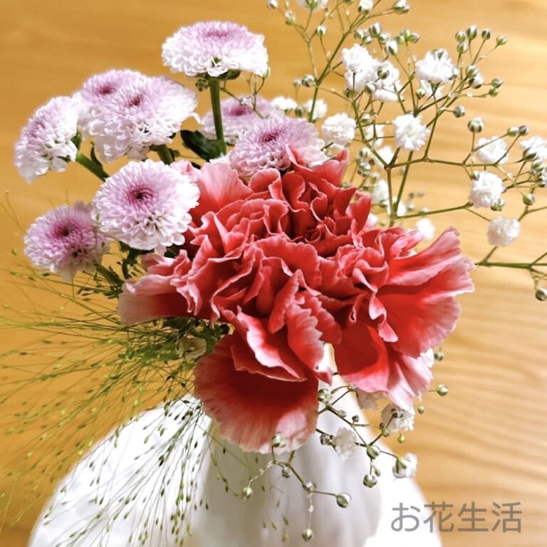 お花の定期便bloomee【ブルーミー】SNS口コミ、評判は本当？使用レビューも紹介 – お花生活